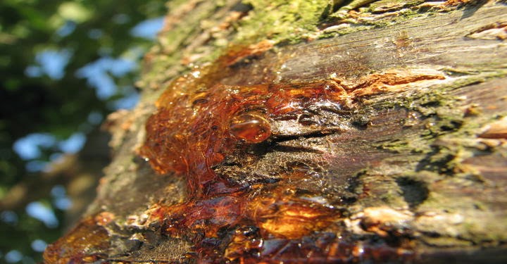 Resin In Our Life