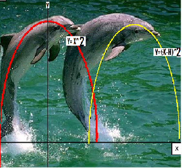 Parabolas in Real Life-Dolphins: Horizontal and Vertical Translations