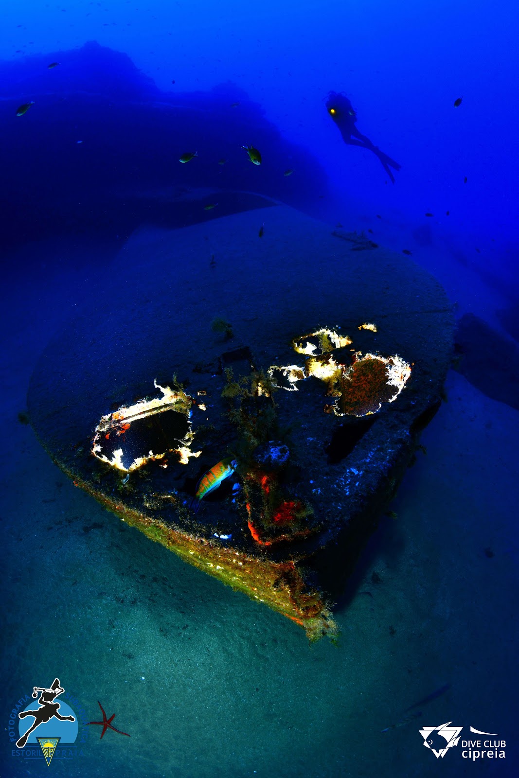 Blogue do RB: Mar de Lava 2019