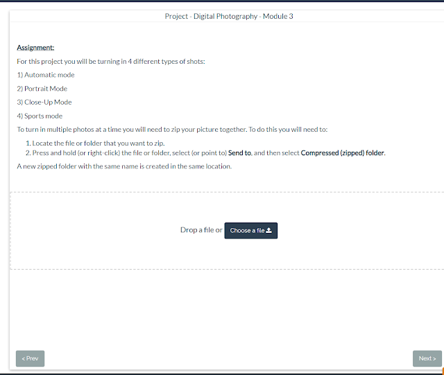 Little Homeschool on the Prairie: Simply Coding Review