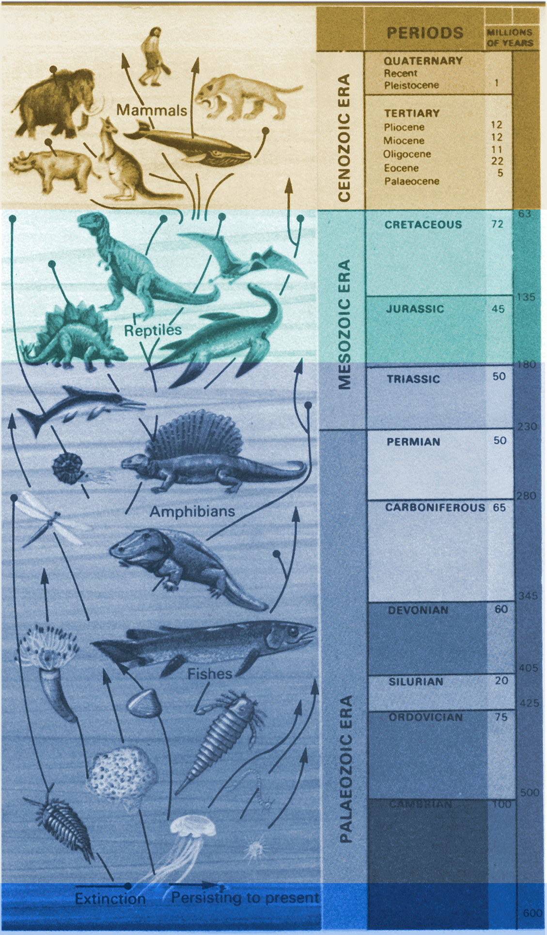 Infinite Cosmos: Geologic column
