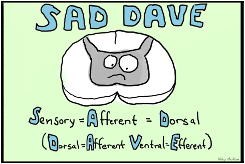 Smith's Science: June 2012