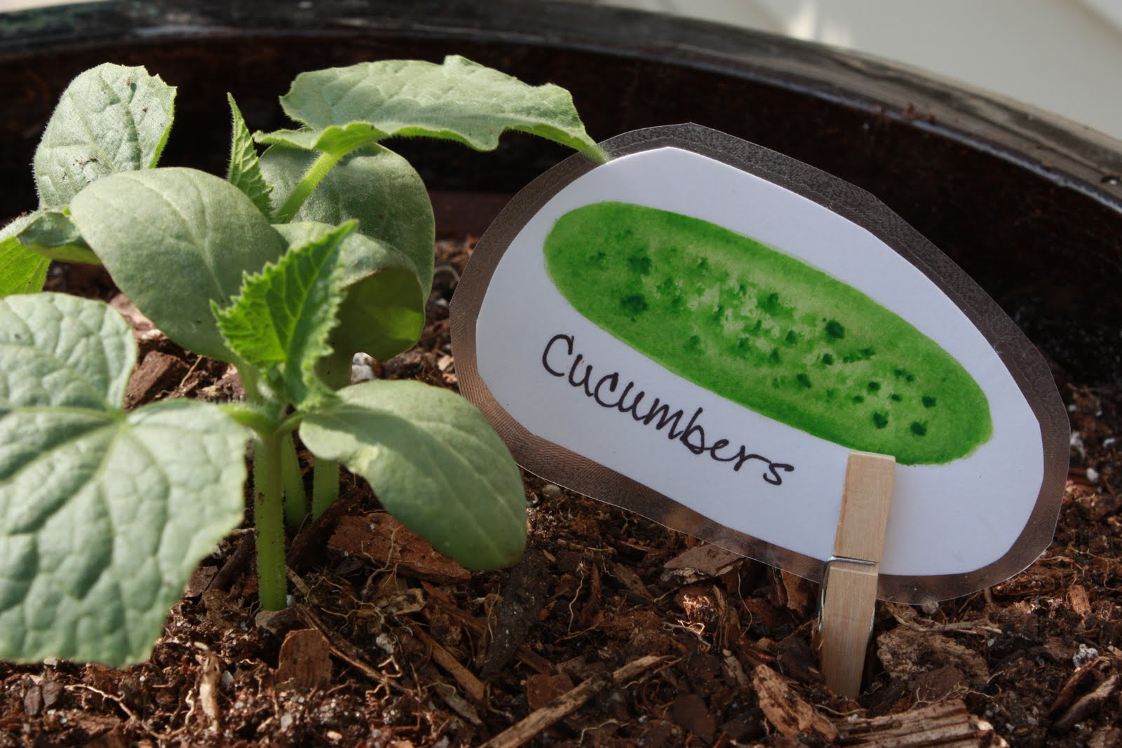 Sew Totally Smitten: Creative Garden Labels