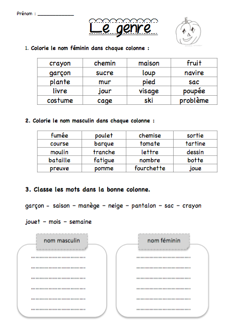 Sur le chemin de l'école: Genre et nombre