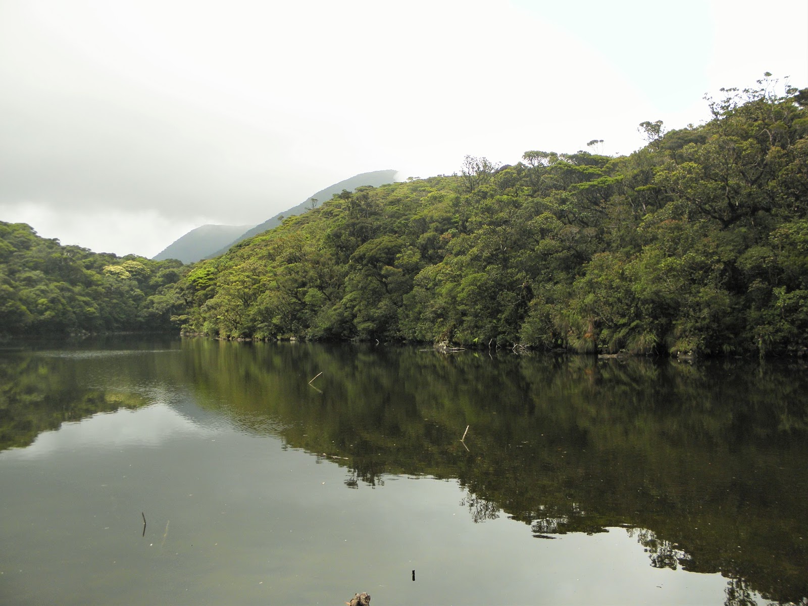 Hiking The Monkey Trails Of Mt. Tabayoc In Kabayan, Benguet