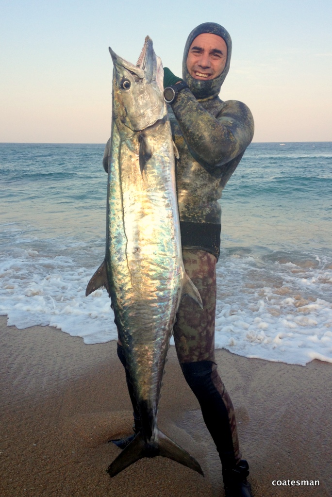 Coatesman's Spearfishing & Waterman's Blog: Big Couta in the Middle of ...