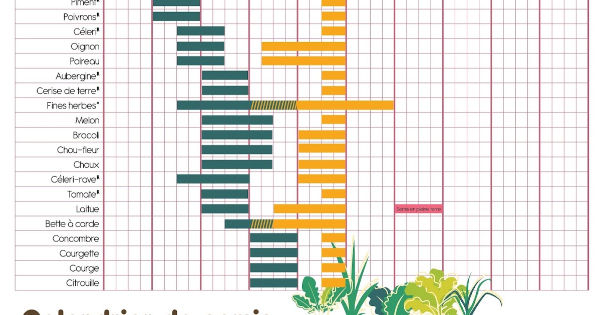 La CDC ICI Montmagny-L'Islet: Calendrier des semis pour notre région ...