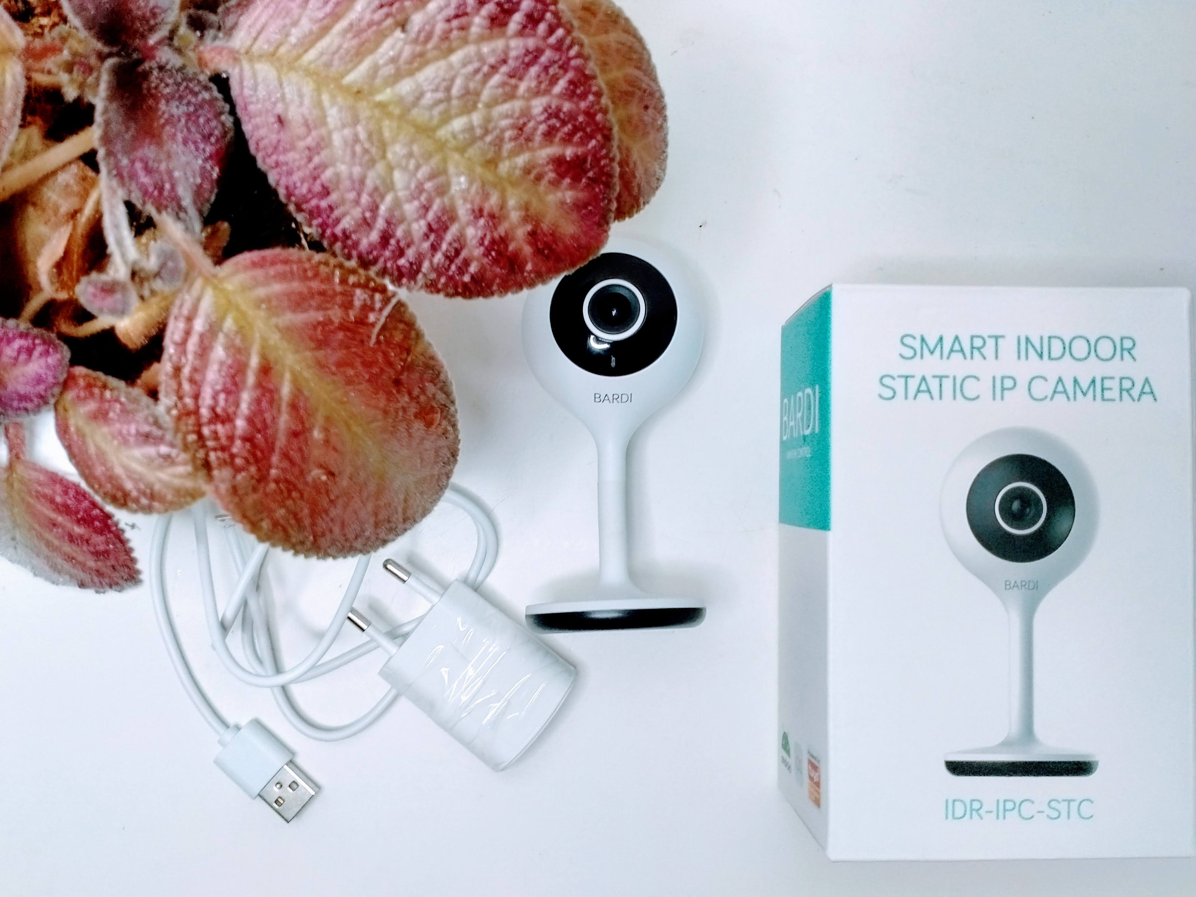 Teknologi Rumah Pintar dengan BARDI Smart Home - The Daily Rella