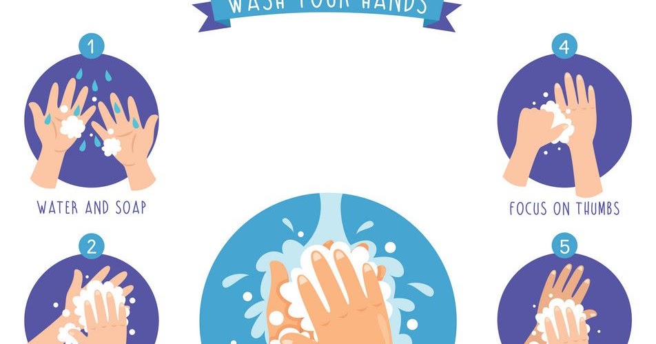 My English Corner: WASH YOUR HANDS