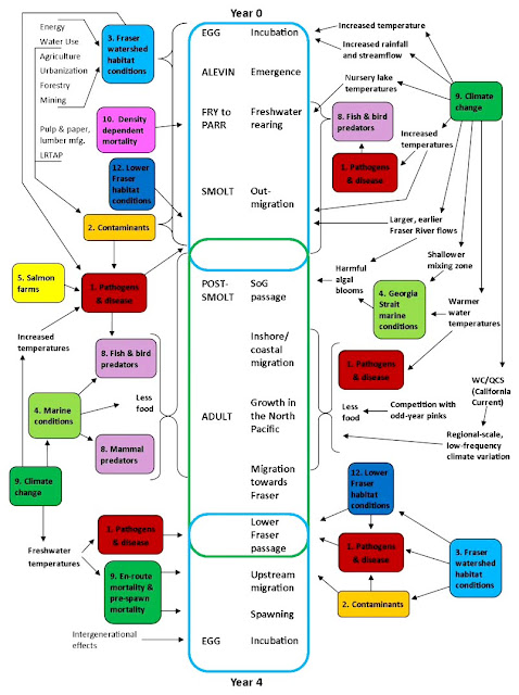CHANS Lab Views: 2020