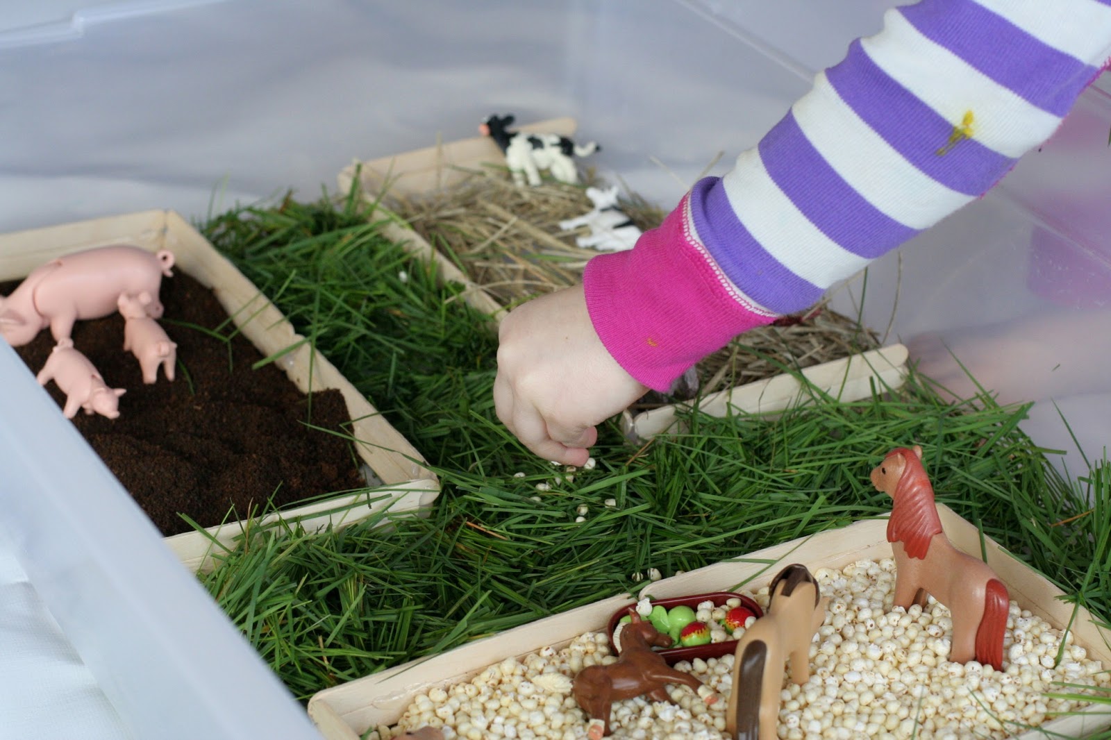 Simple Small Worlds: Farm World