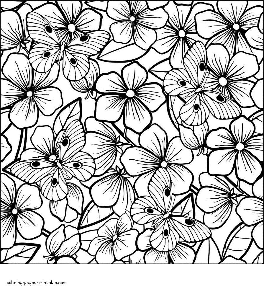 Full Page Coloring Pages ~ Coloring Print