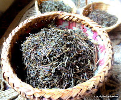 Taste of Nepal: Jimbu – Nepalese Allium (Herb)