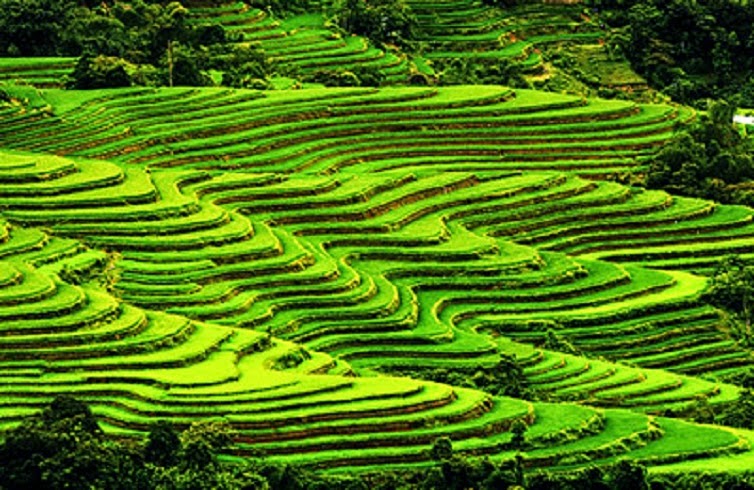 Facebook Google+ Twitter