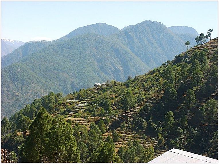 Kunsi Ashram Photo Album | Purusha at Maharishi Ashram - Kunsi ...