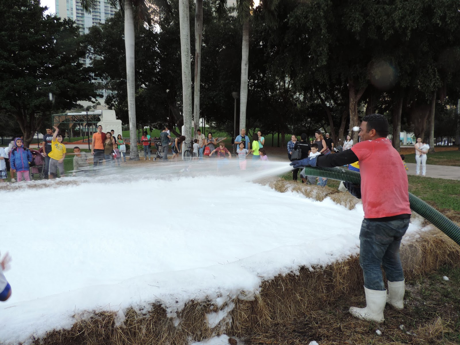 Bonao Internacional: CURIOSIDAD : ESTUVO " NEVANDO " EN MIAMI , PARA ...