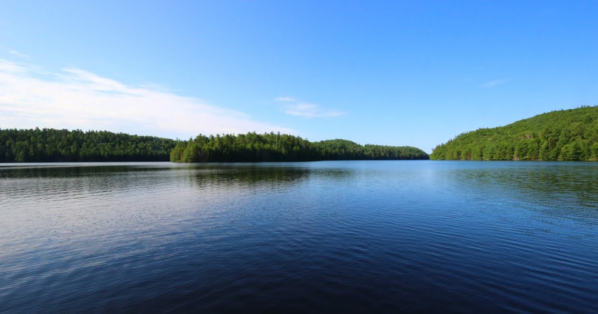 Ian's Blog: Centennial Lake, July 2019