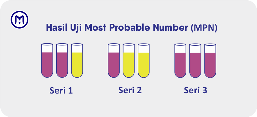 Enumerasi Sel - Metode Menghitung Jumlah Sel Bakteri - MicrobeHolic