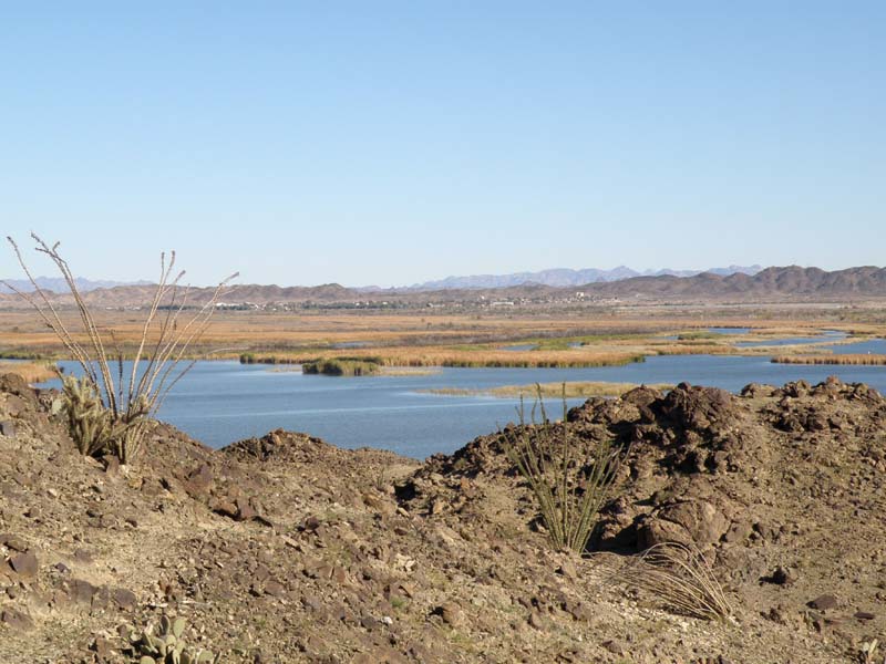 Itchyhitch What's New: Mittry Lake Wildlife Area