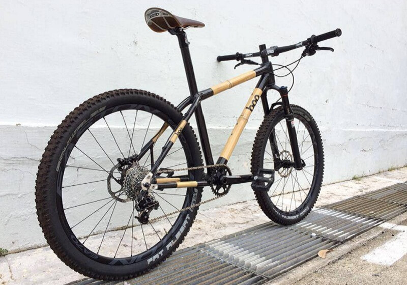 10 Fakta Menarik Tentang Bambu yang Tidak Banyak Orang Tahu - raSains.com