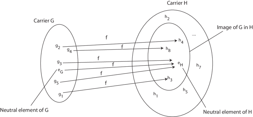 Trasalba: Different Morphisms