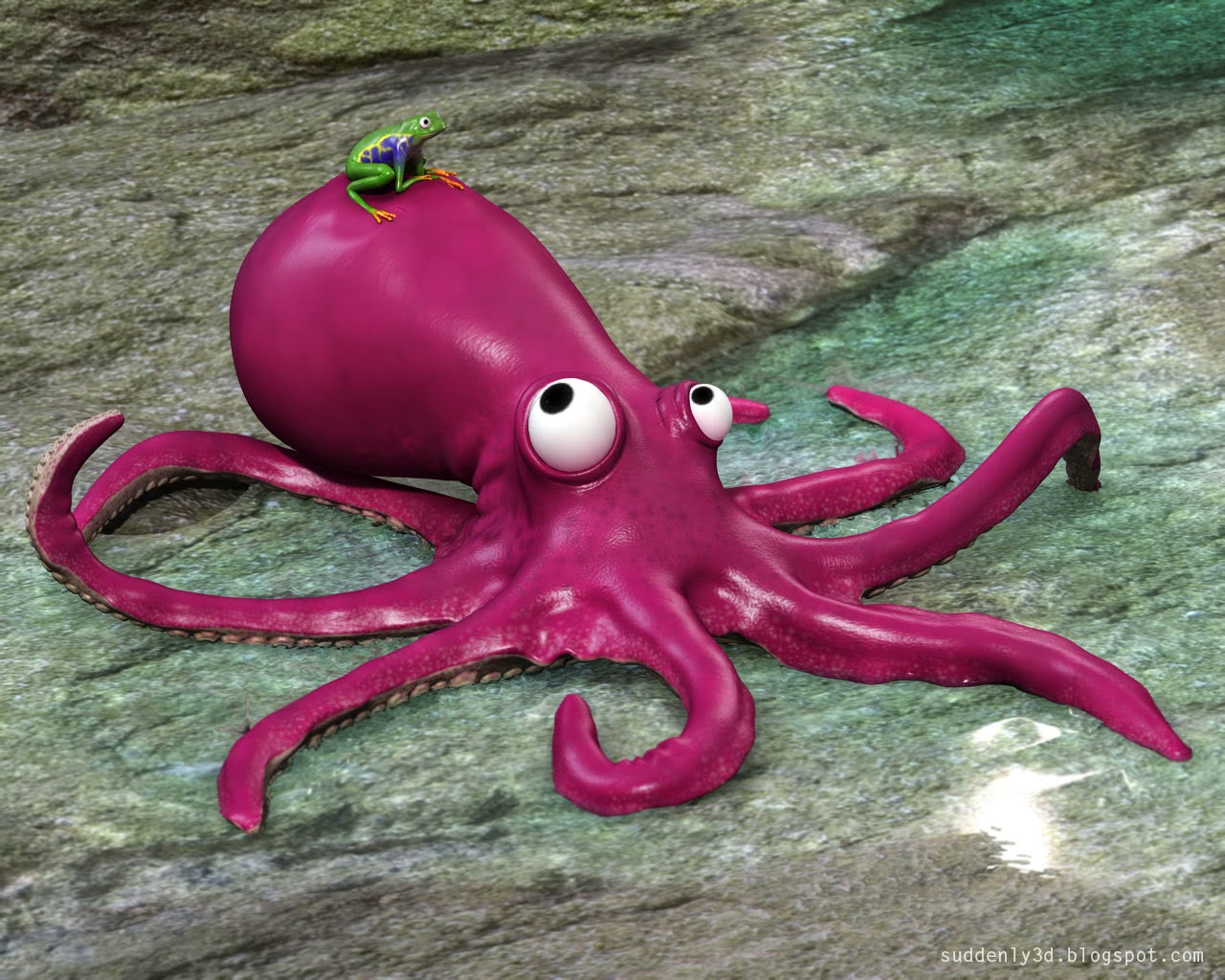 Frog on an Octopus? : Suddenly 3D