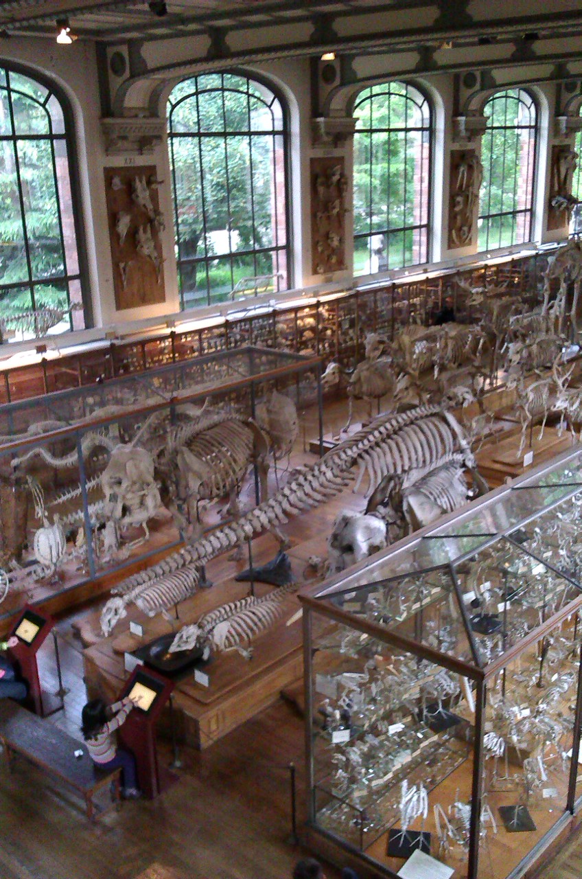Gillianimation: Joe Weatherly Animal Workshop Paris