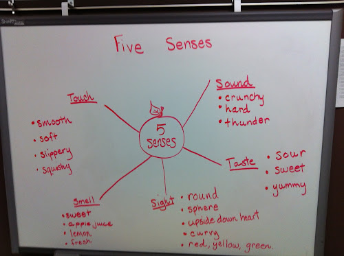 Ms. Clark: Using Our Five Senses for Apple Tasting- A Visual, Auditory ...