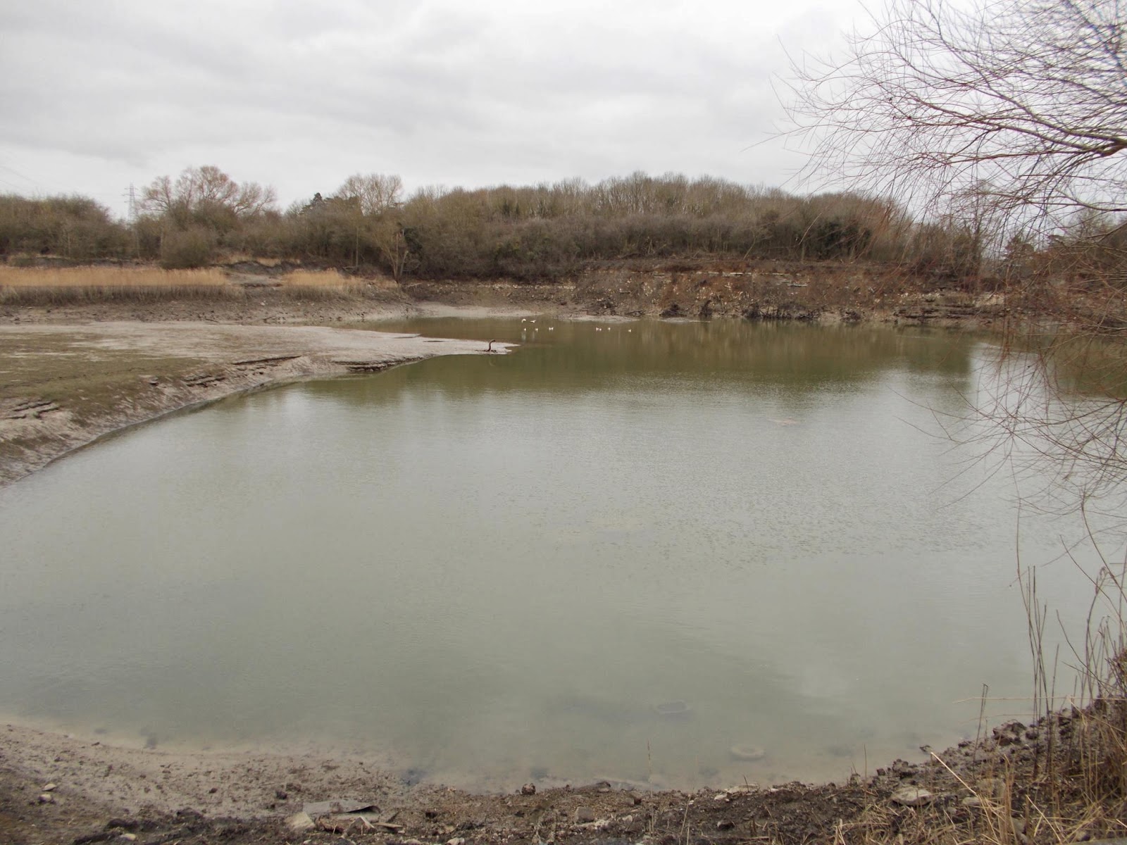 Bishops Bowl Fishery : Carp Hustling at Bishops Bowl - Mitre Pool