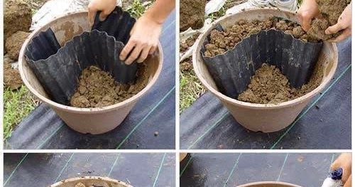 How to make a pond in a small pot or bucket - all-garden-world