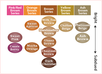 Liese Color Chart