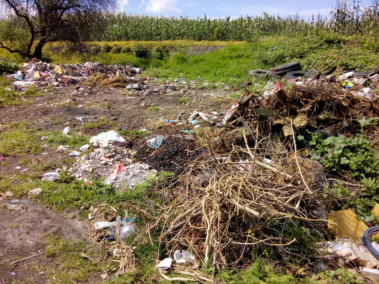 Basura en áreas verdes: Cultura Ambiental y Desarrollo Sustentable