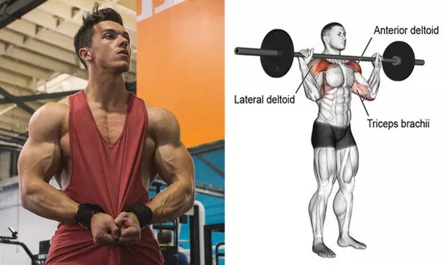 Bodybuilding Exercises For Beginners