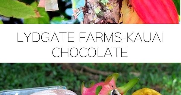 A GUIDE TO NORTHEASTERN GARDENING: This Month in the Garden: A Visit to ...