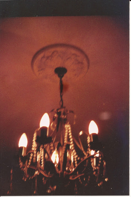 Dhphoto: Recesky DIY TLR Camera vs Gakkenflex vs Blackbird Fly