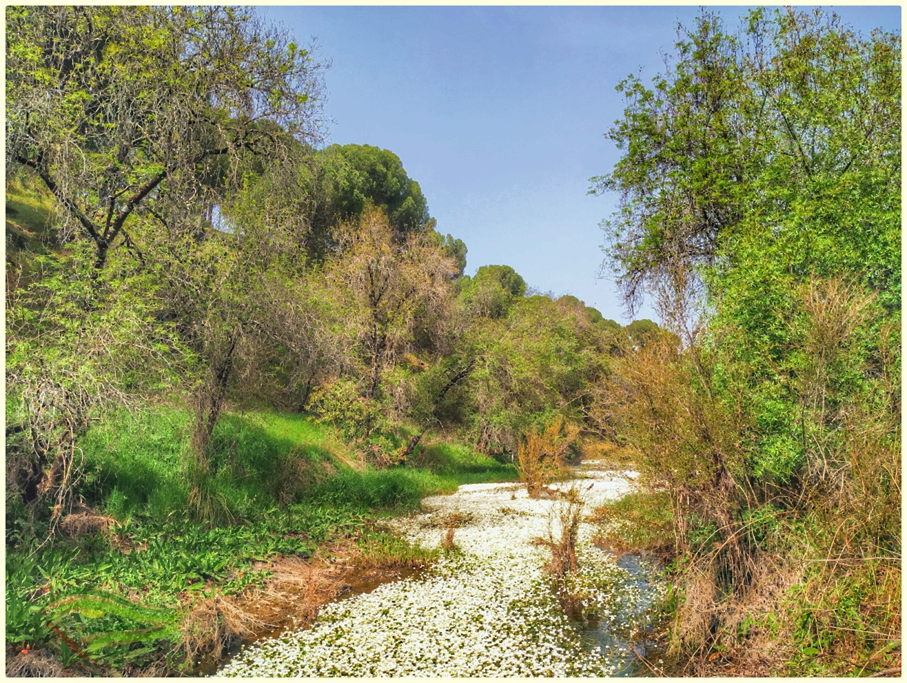 Crónicas Senderistas: La Floración del Río Matapuercas. Adamuz