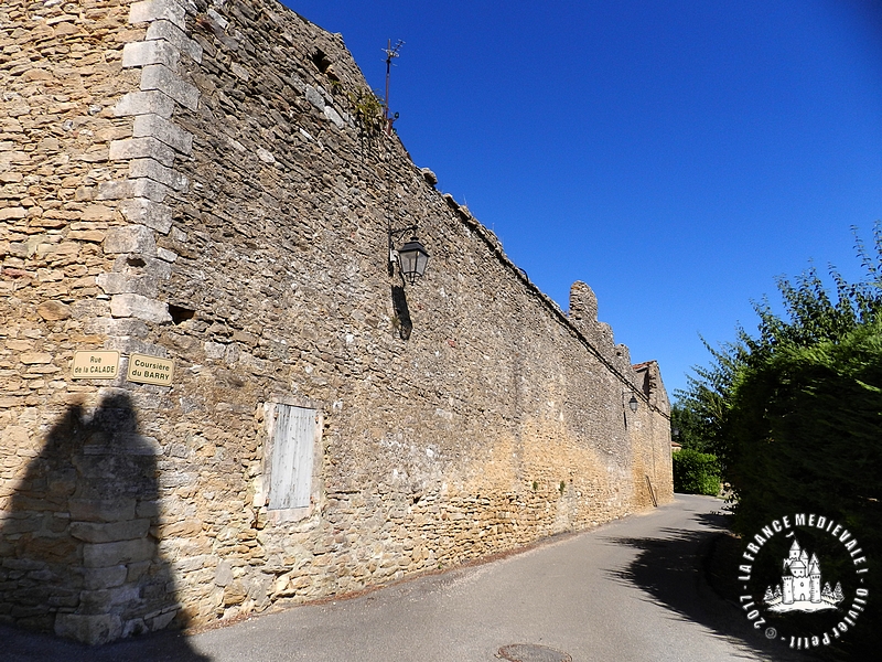 LA FRANCE MEDIEVALE: SALAZAC (30) - Village médiéval