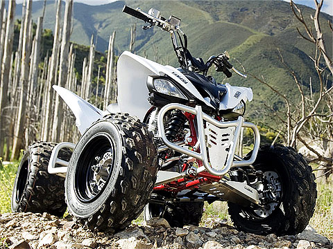 2009 YAMAHA pictures Raptor 250 VFM250R atv specifications