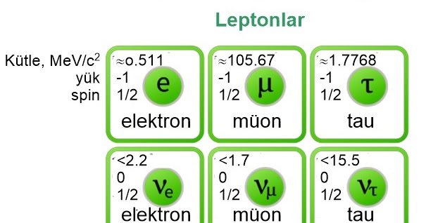 Prof. Dr. Bilsen Beşergil: Leptonlar (leptons)