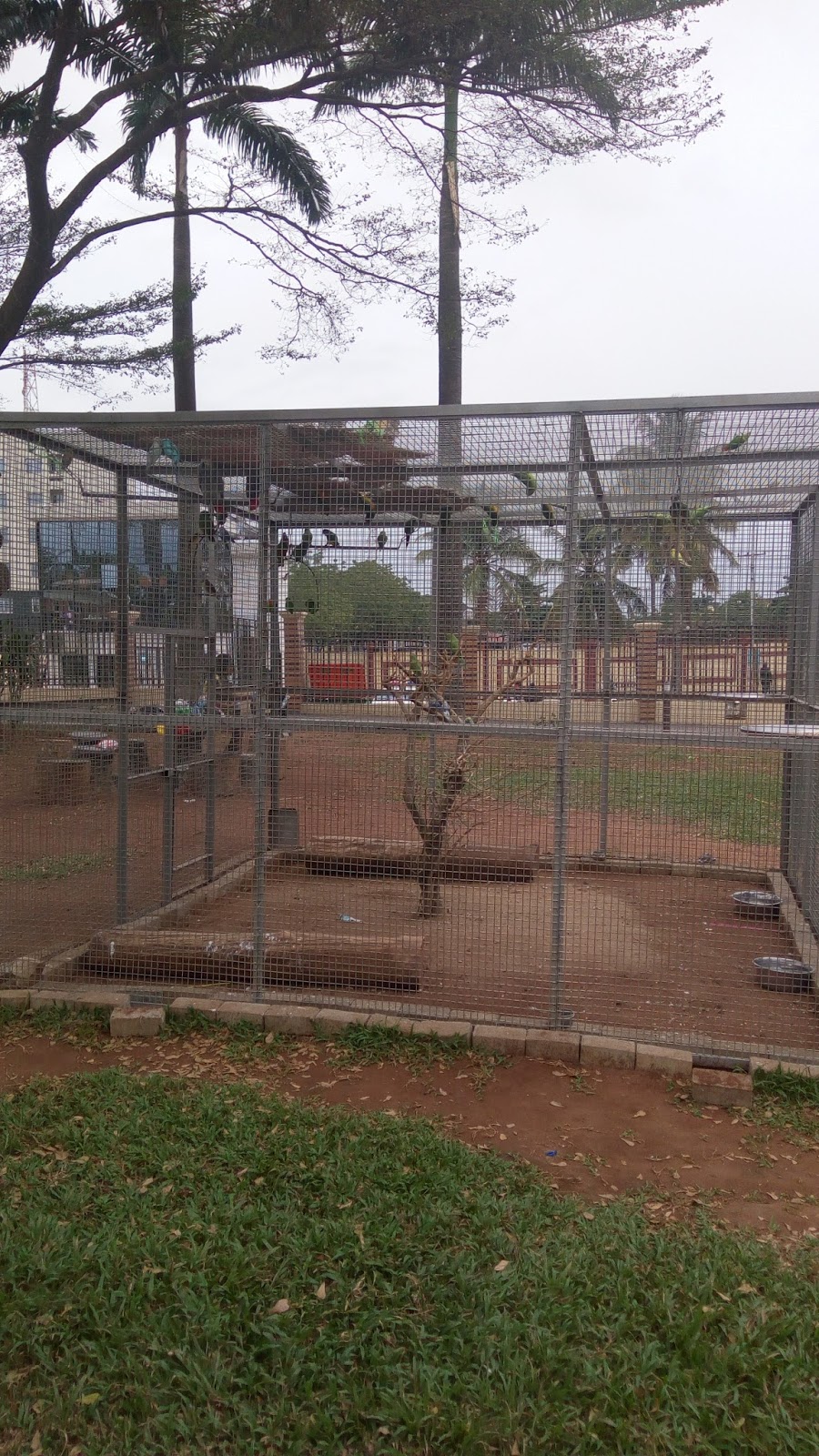 Fun Recreational Park to Discover:Johnson, Jakande, Tinubu Park, Alausa ...