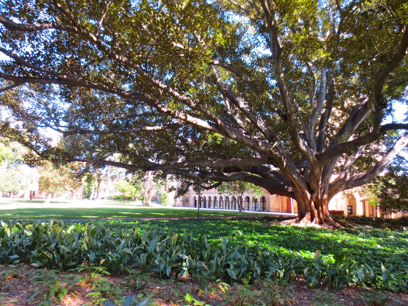 The next step on the trail: October 2013