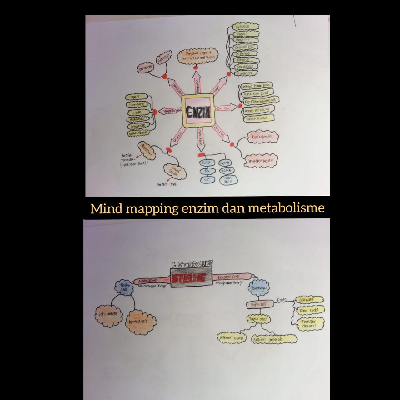 Tugas Mind Mapping Materi Enzim dan Metabolime Kelas XII MIA 1 - Kelas ...