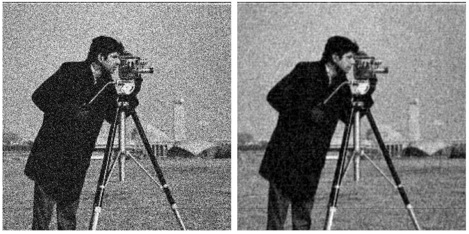 Perception and Learning in Machines: Seeing through Chaos: Noise Filtering