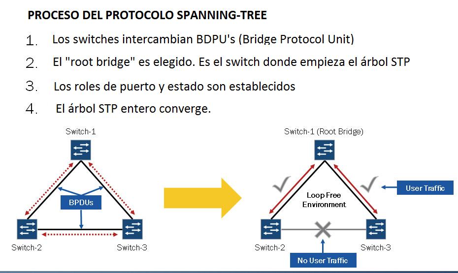 CCNP/JNCIS EN ESPAÑOL: Capítulo 3: Spanning Tree