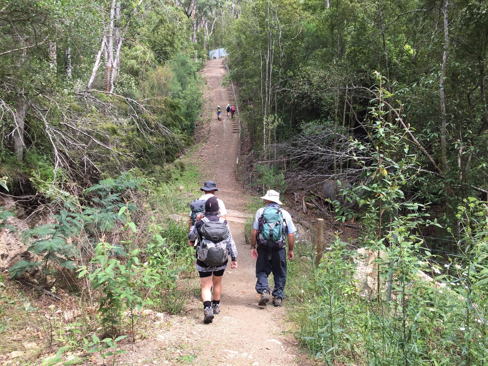 Huon View: Alum Cliffs walk