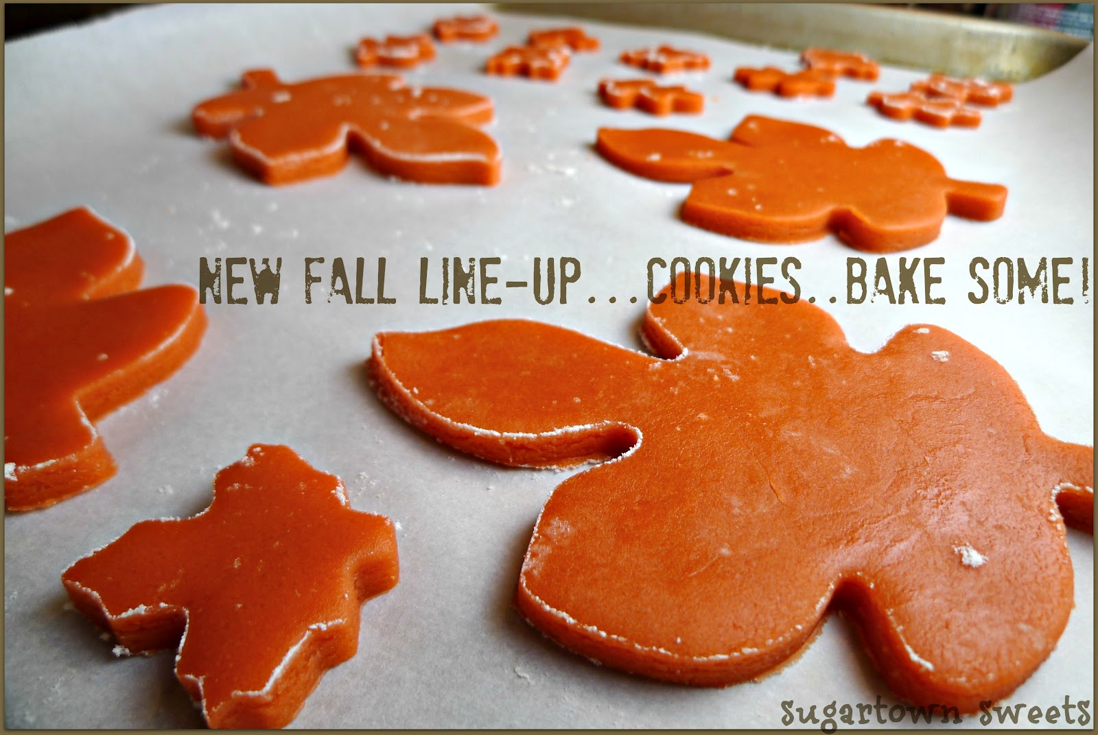 Sugartown Sweets: Fall Cookies!