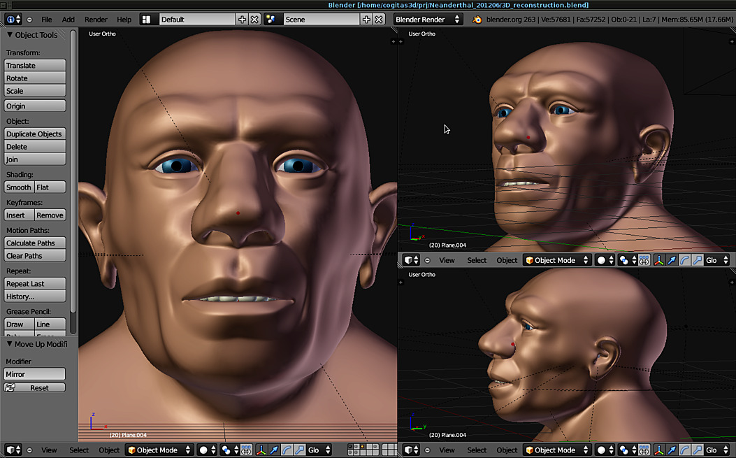 ATOR: Facial reconstruction of a Neanderthal