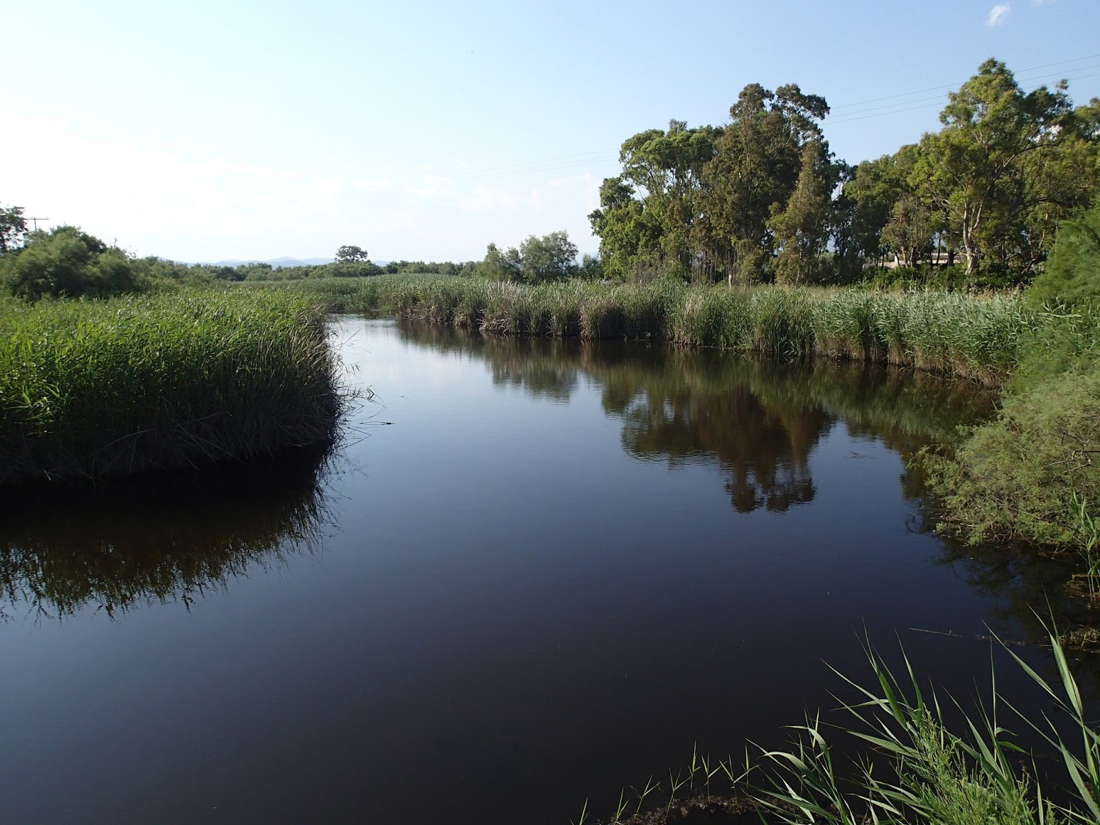 Athens Nature Journal: Evrotas River Delta: Natura 2000 habitat mapping