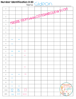 Letter and Number Interventions: Includes Freebies! | Glitter and Glue ...