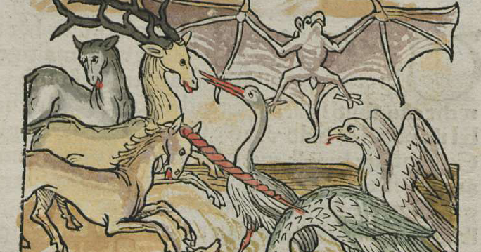 Mythology and Folklore UN-Textbook: Story of the Day: Why the Bat Comes ...